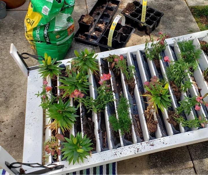 Spring DIY: Standing Shutter Planter - Habitat Charlotte Region ReStore